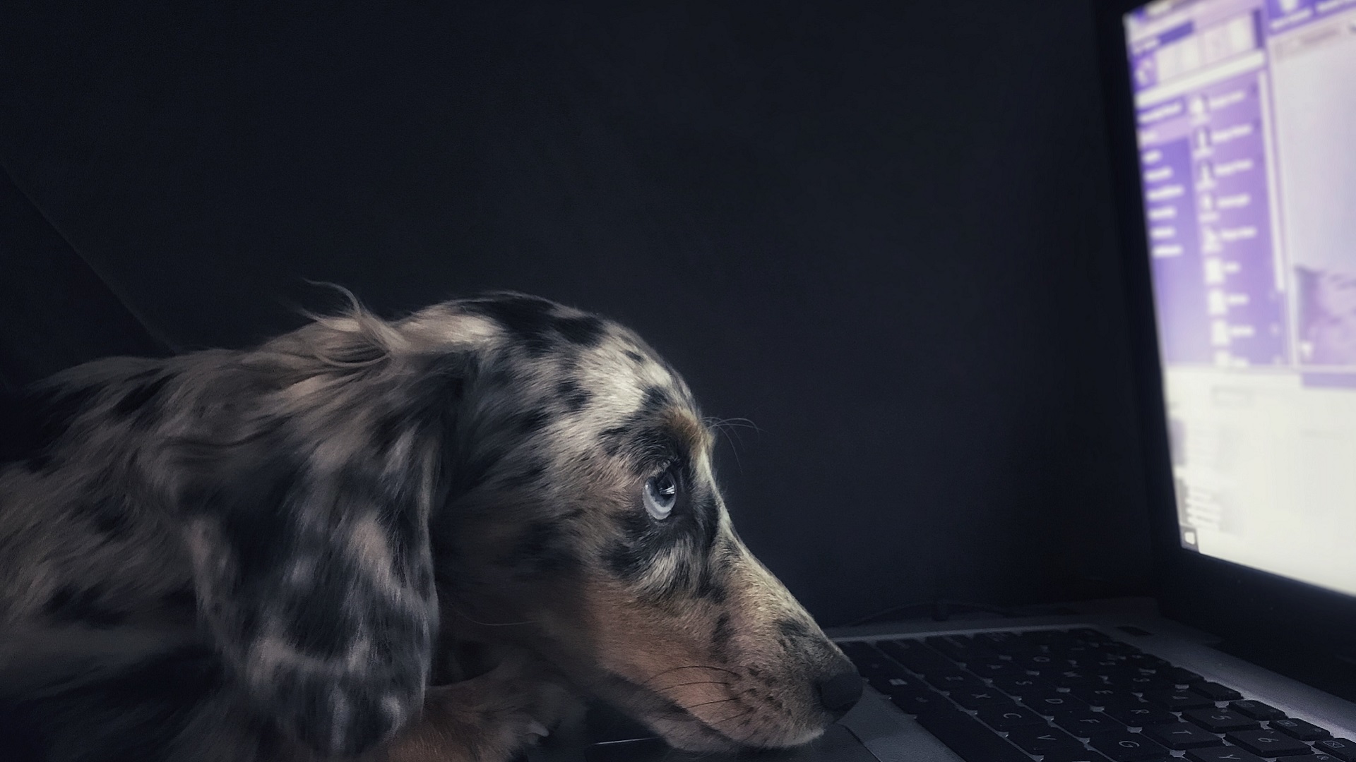 Image Recognition Explained - Part 1 - Imagga Blog