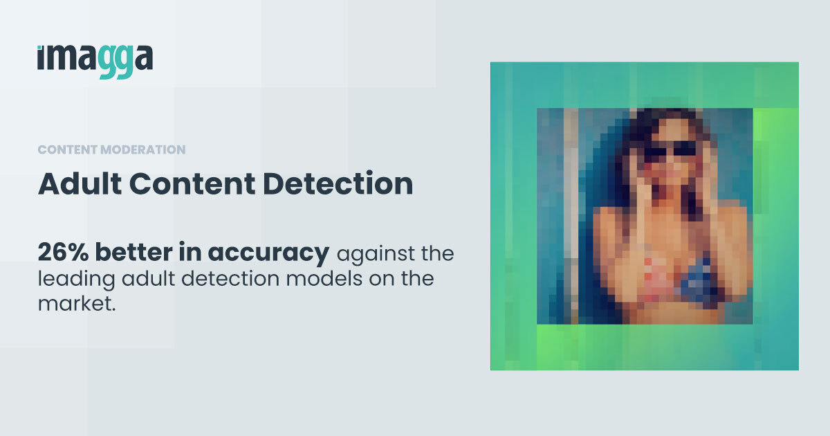Automated Adult Content Detection for Images and Short Videos - Imagga