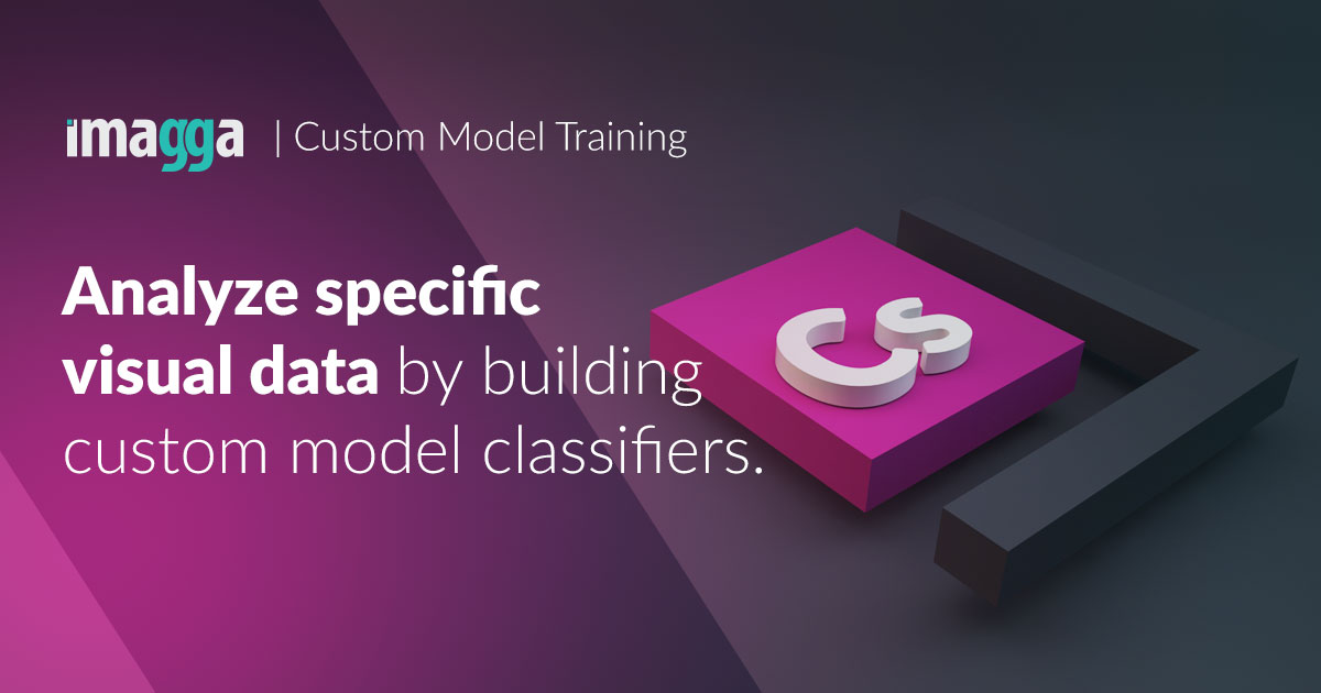 Teach Your System To Recognize Concepts With Custom Training Imagga Solutions