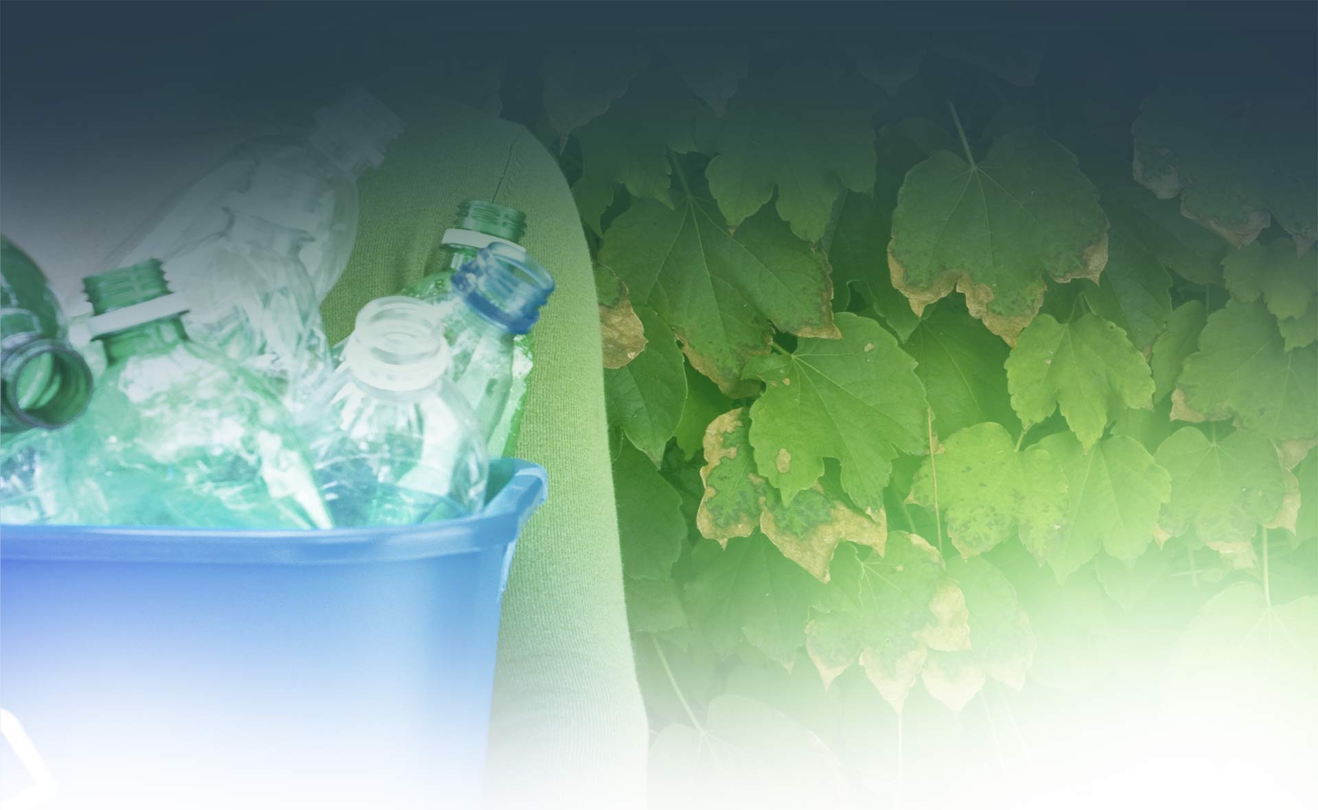 Case-study: Trash recognition and recycling using Image Recognition ...